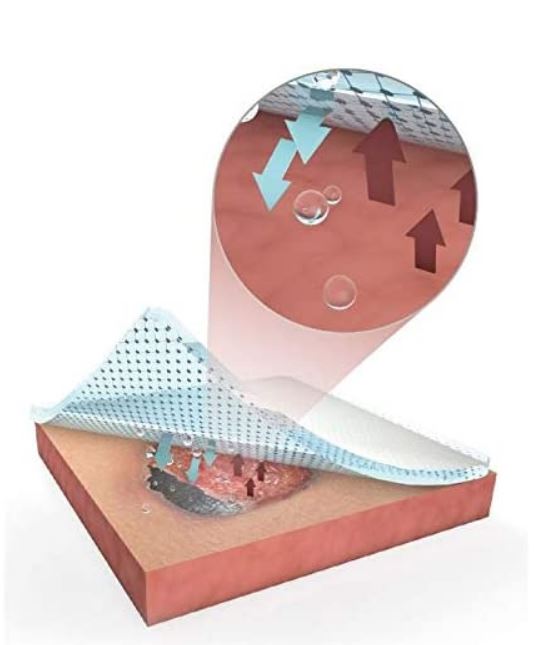 Moderex Hydro-cool Hydrogel dressing with adhesive border – Zelador